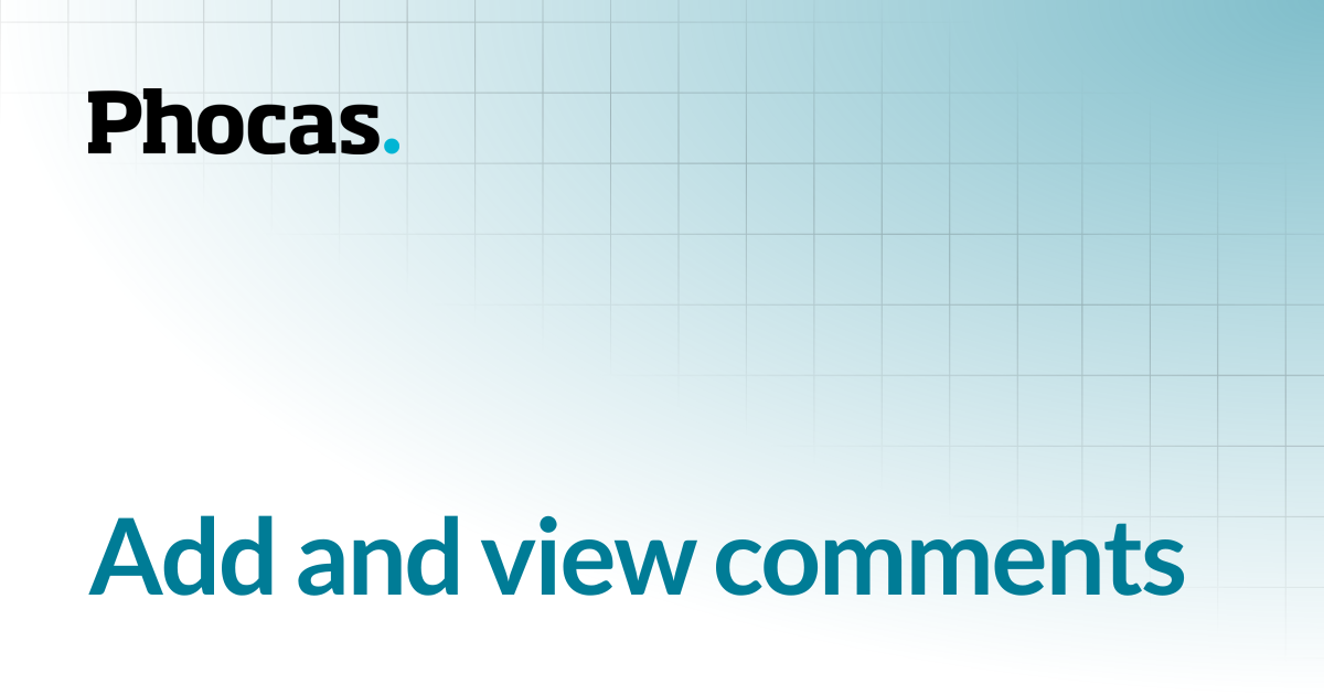 Add and view comments | Financial Statements | User documentation